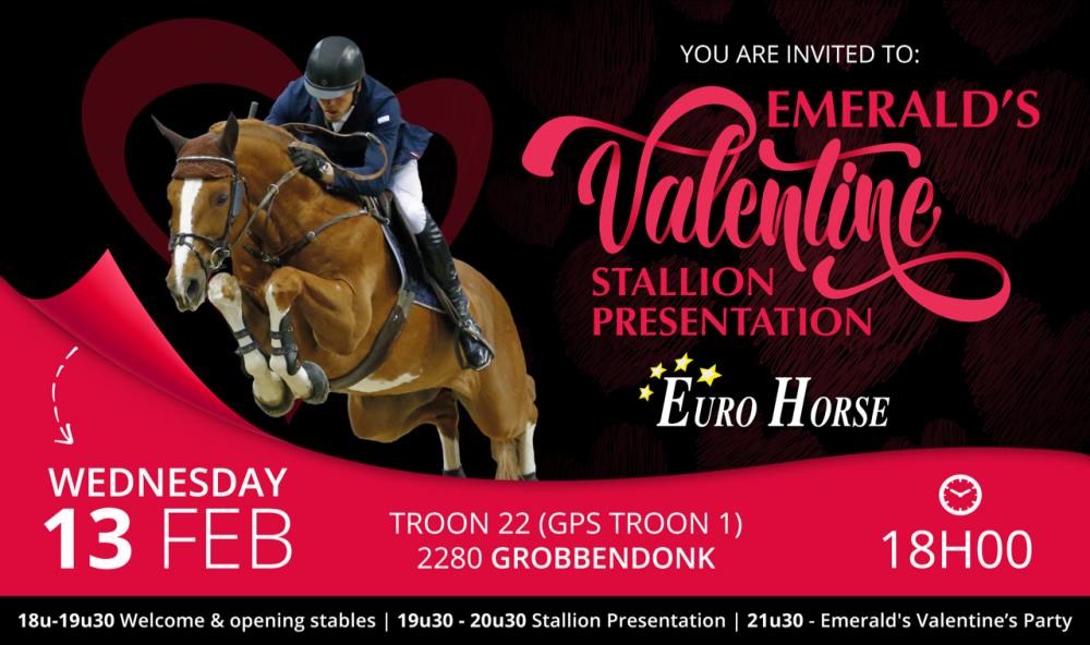 Eurohorse - Emerald's Valentine Stallion Presentation